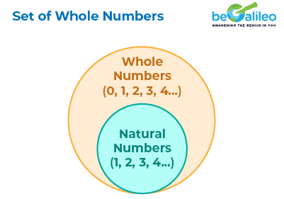 Whole numbers - Definition, Properties and Examples