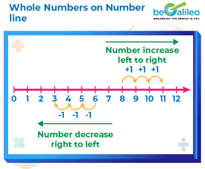 Whole Numbers - Definition, Properties And Examples