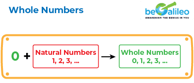 Whole numbers - Definition, Properties and Examples